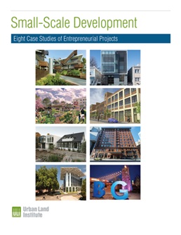 Small Scale Development: Eight Case Studies of Entrepreneurial Projects ...