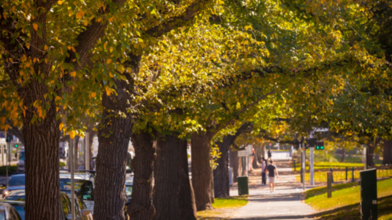 Victoria State Government Department of Transport and Planning | ULI ...